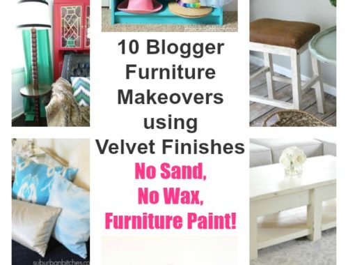 How to Paint Fabric with Velvet Finishes - Design Asylum Blog | by ...